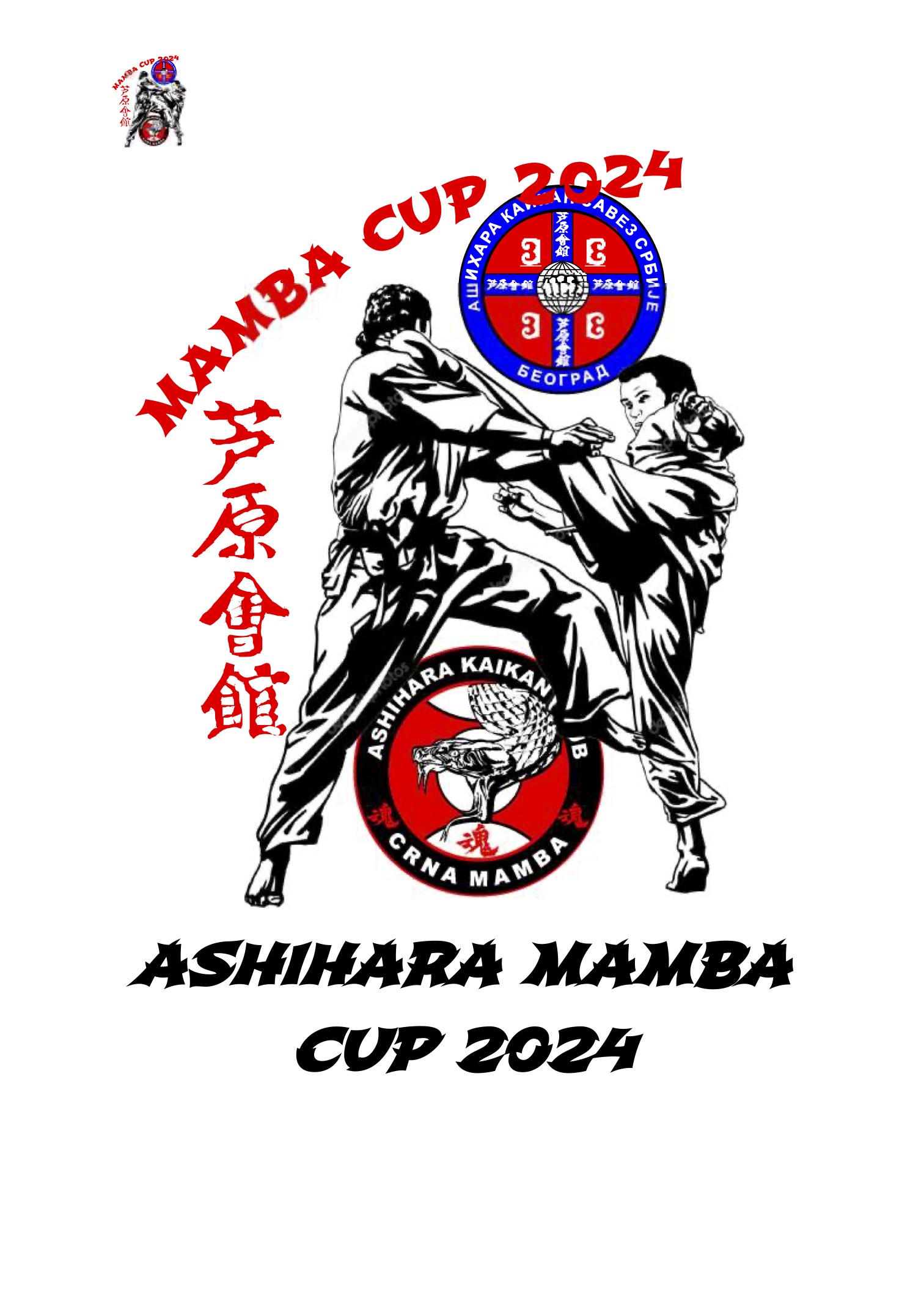 ashiharaevents.com – Ashihara Karate events from around the World